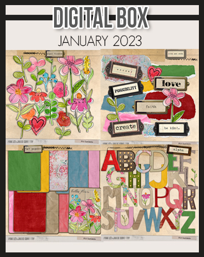 JAN 2023 DIGITAL BOX ARCHIVE - Pink Lemonade Company